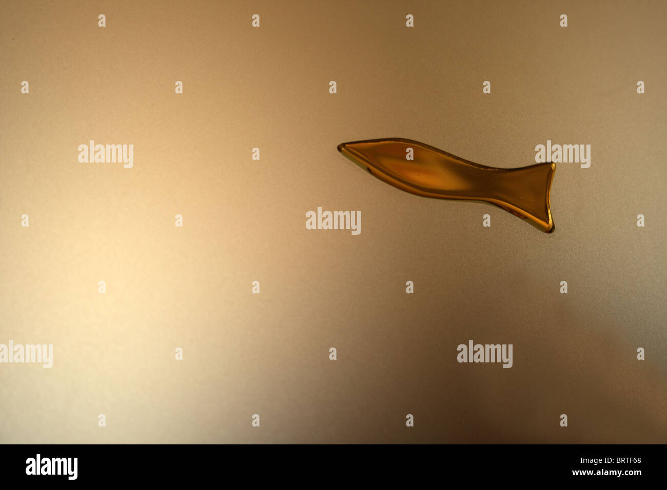 Glass fish hi-res stock photography and images - Alamy