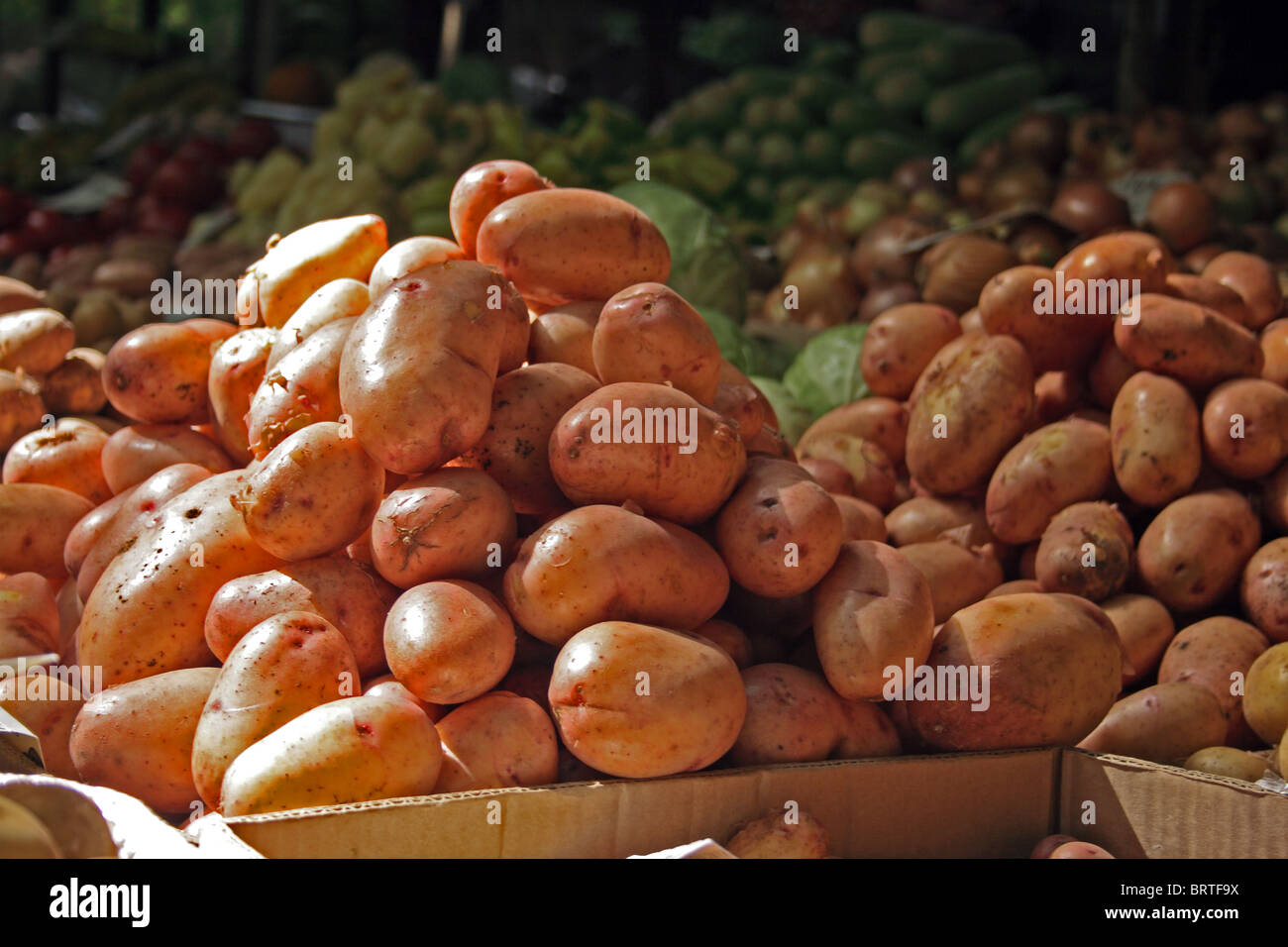 Organic Potatoes on display at outdoor Farmers Market Stock Photo - Alamy