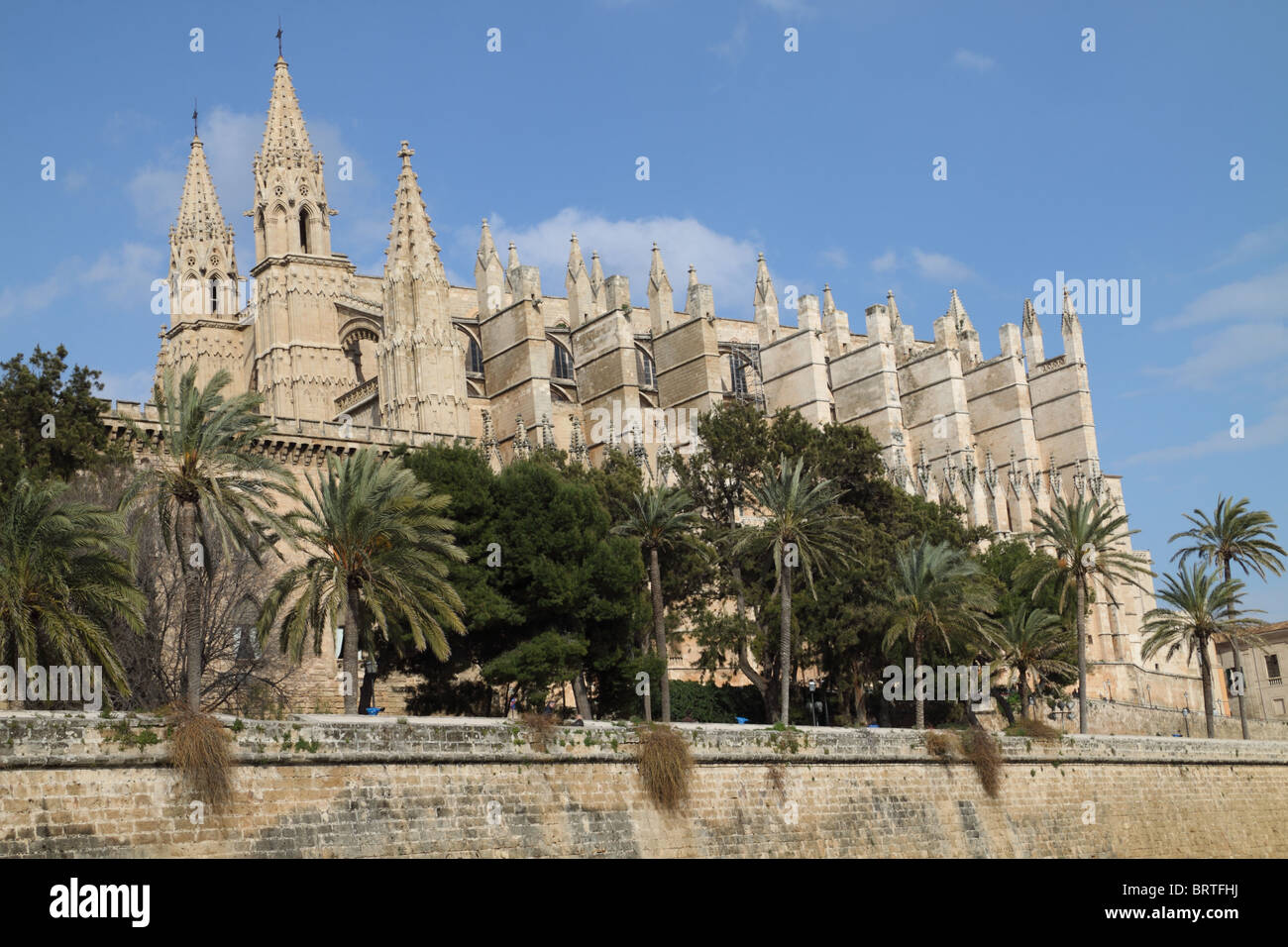 Palma Cathedral in Majorca city centre Spain Stock Photo - Alamy
