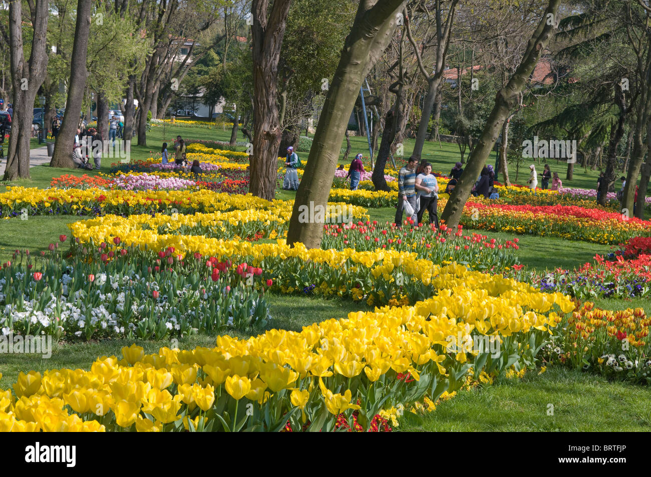 Tulip gardens in istanbul,Turkey Stock Photo - Alamy