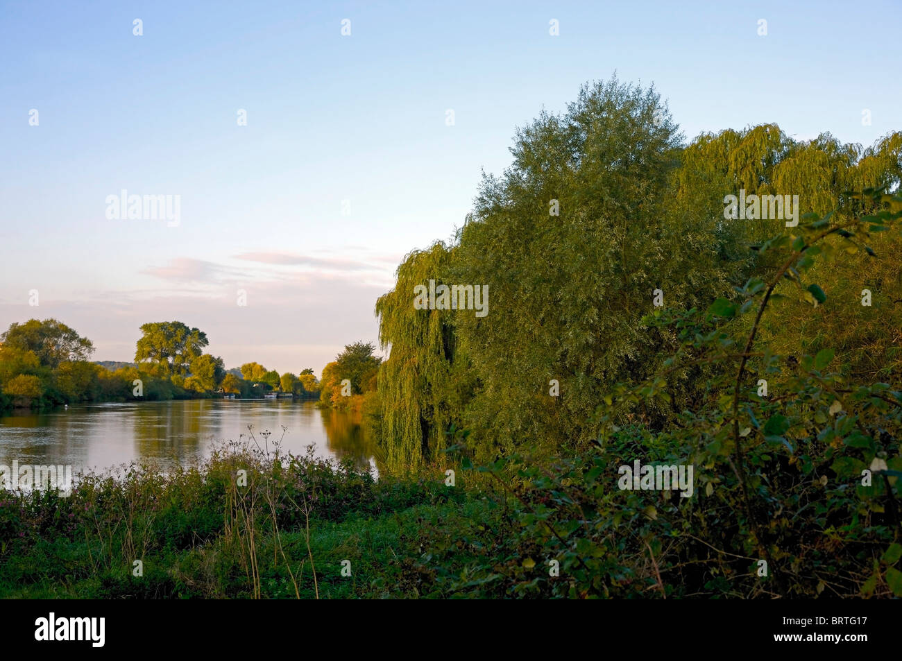 early morning scene - river Trent Stock Photo - Alamy