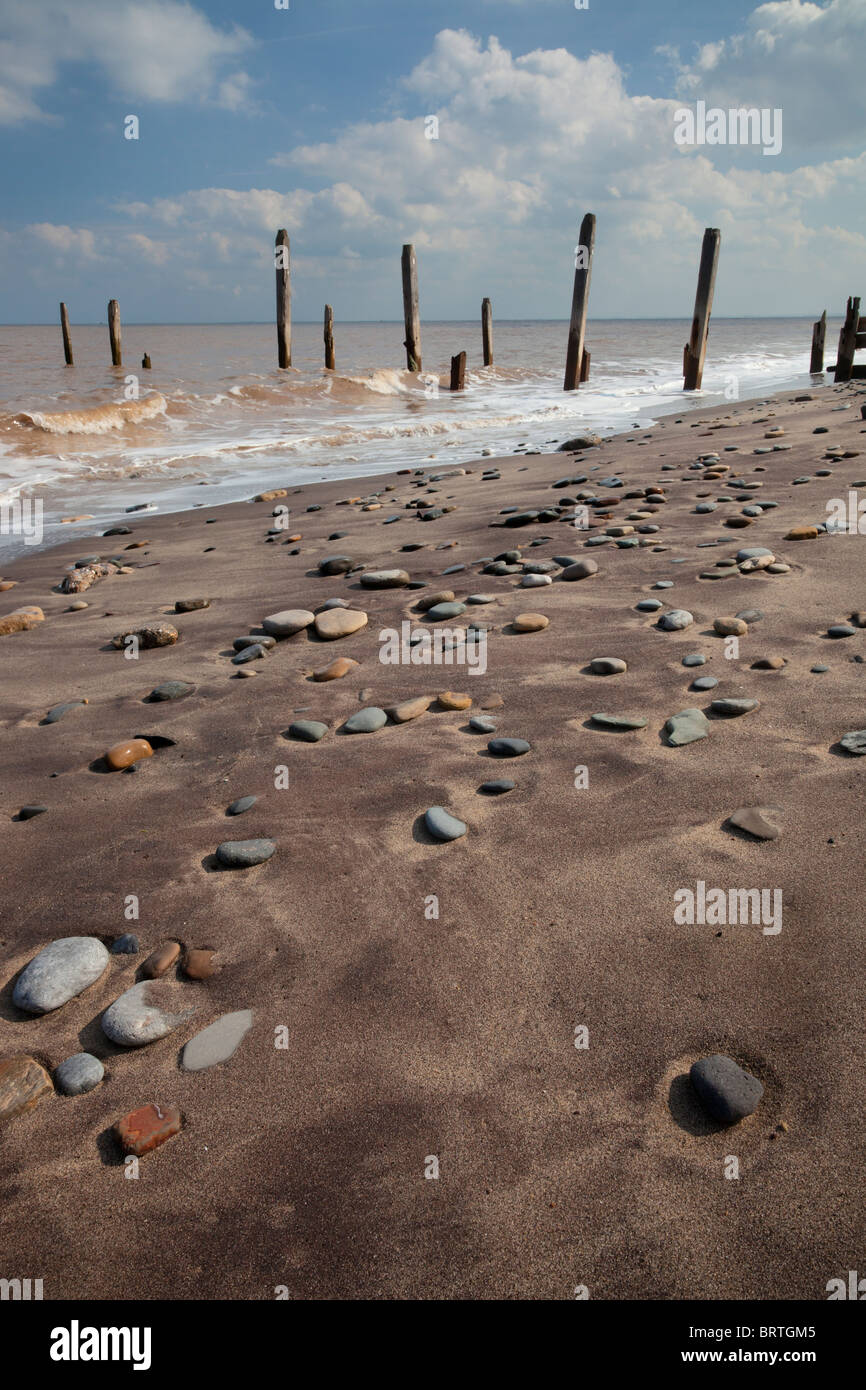 Spurn national nature reserve hi-res stock photography and images - Alamy