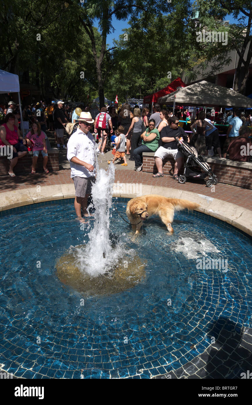 Dog wet warm weather hi-res stock photography and images - Alamy