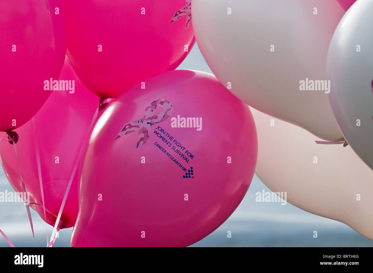 Balloons at the Thorndon Stride in aid of Cancer Research UK. Photo by ...