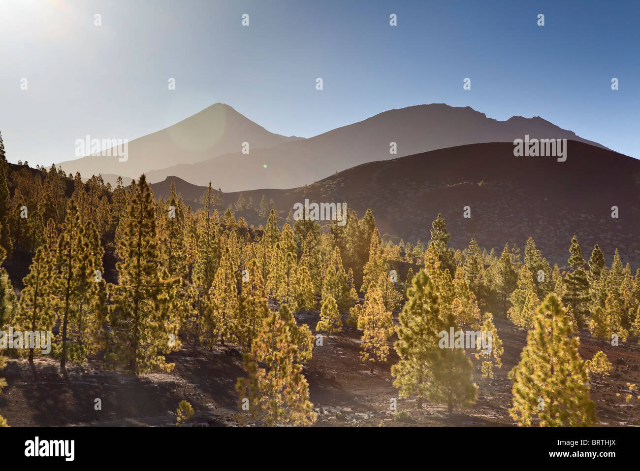 Canary Islands, Tenerife, Parque Nacional del Teide (Teide National ...