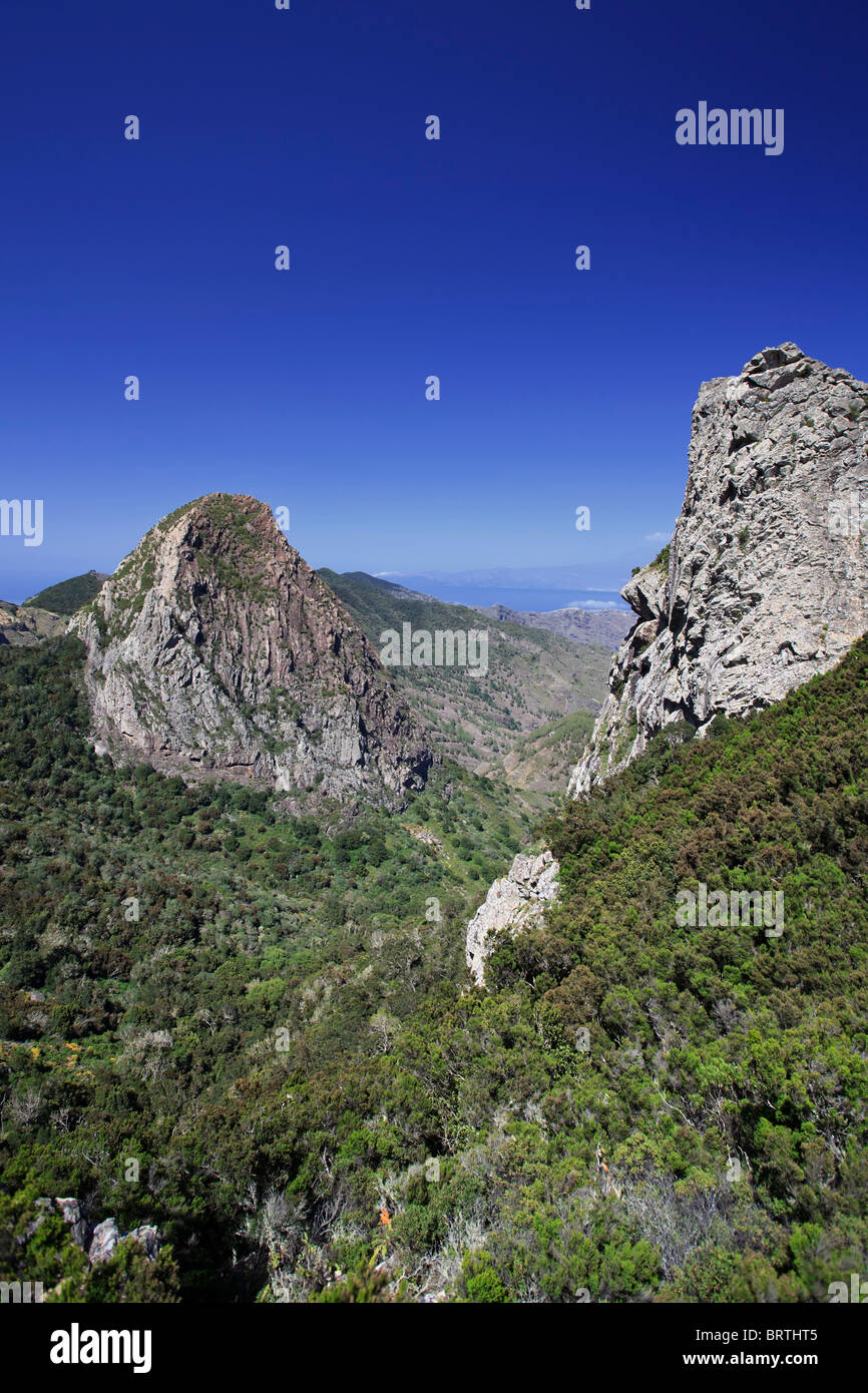 Canary Islands, La Gomera, Garajonay National Park (UNESCO Site), Los ...