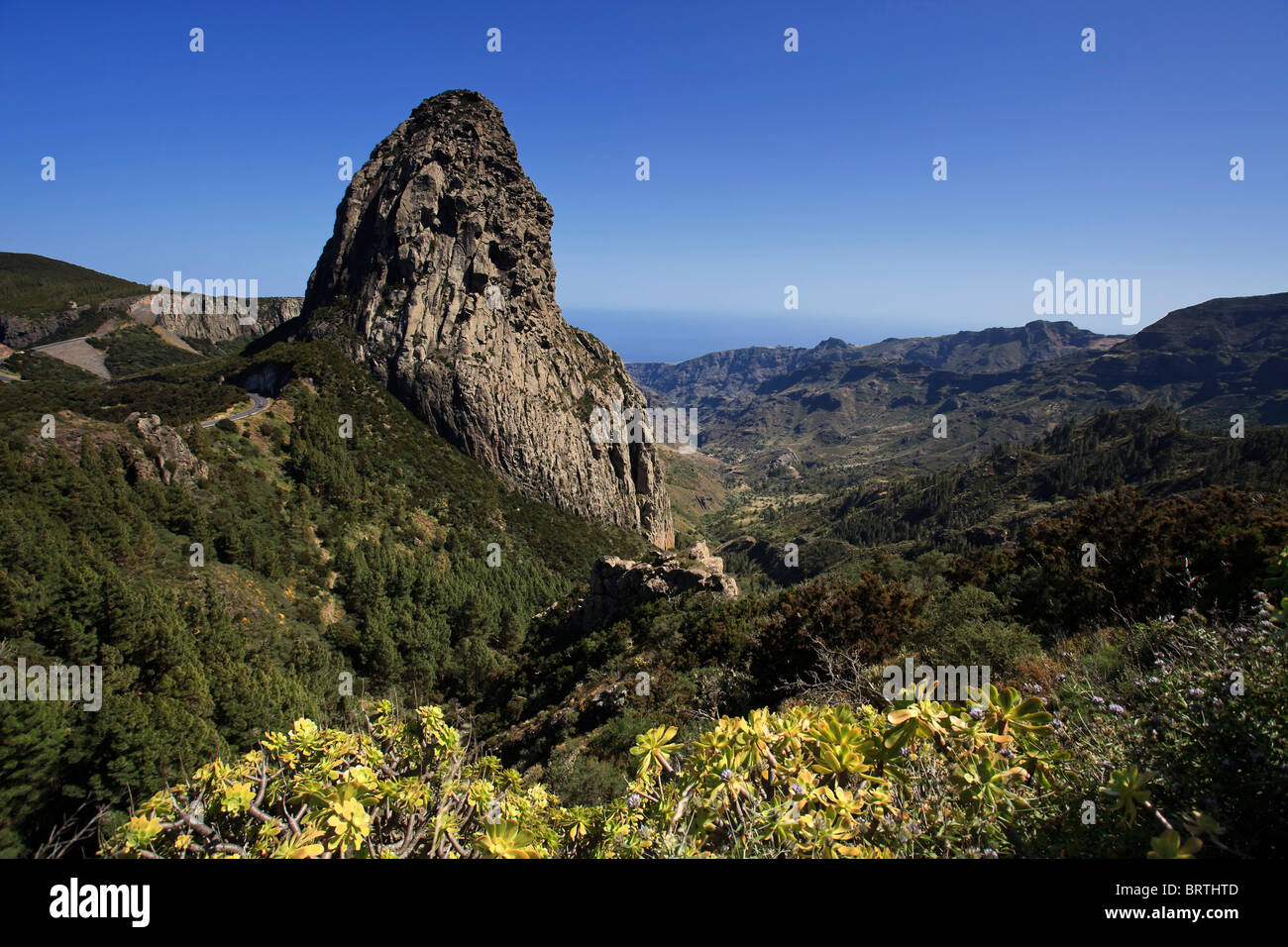 Canary Islands, La Gomera, Garajonay National Park (UNESCO Site), Los ...