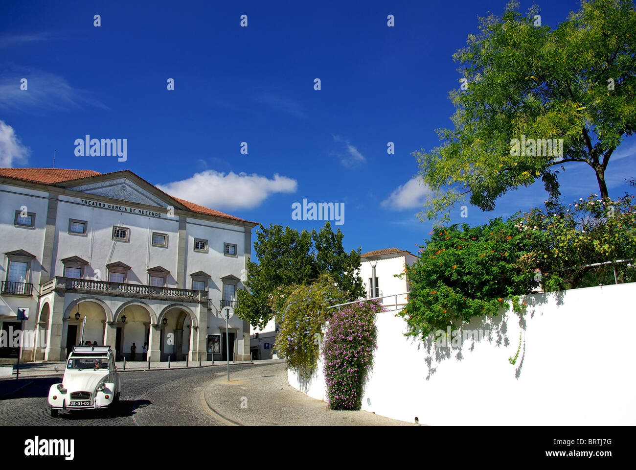 évora portugal tree hi-res stock photography and images - Alamy
