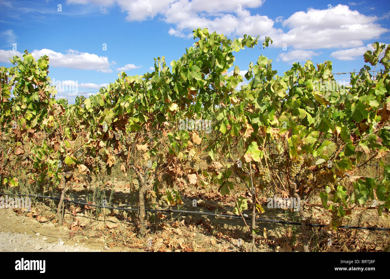 Roupeiro hi-res stock photography and images - Alamy