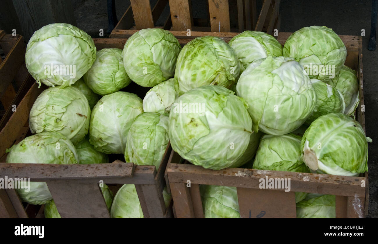 Cabbage in wooden crates hi-res stock photography and images - Alamy