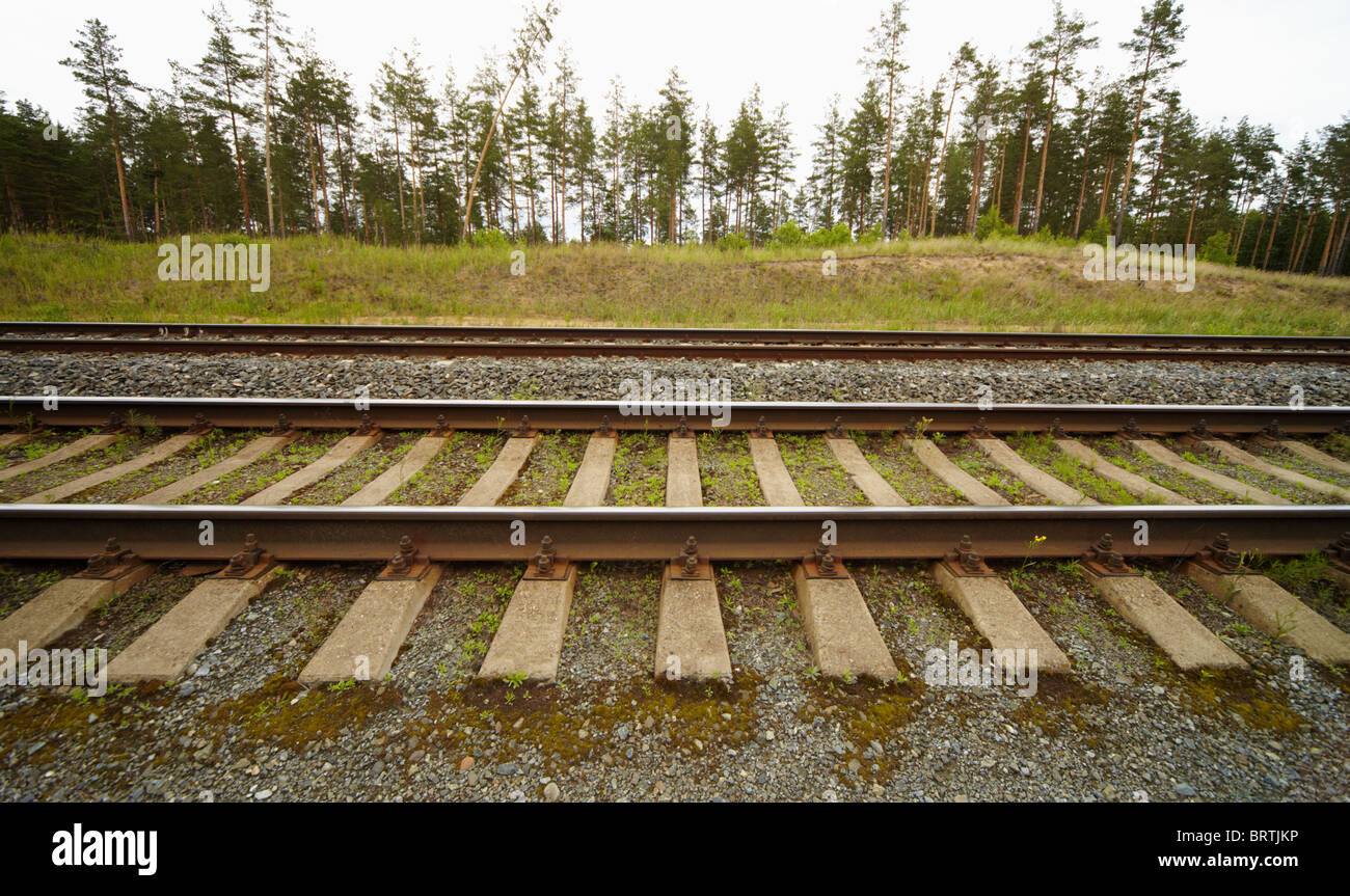 Railroad tracks close up - the panoramic photo Stock Photo - Alamy