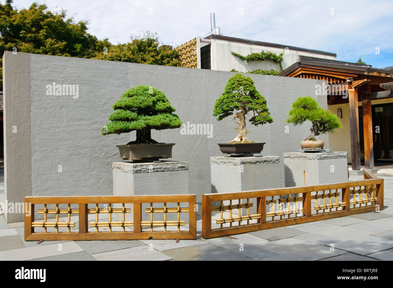 National Bonsai & Penjing Museum located at the Nation Arboretum in ...