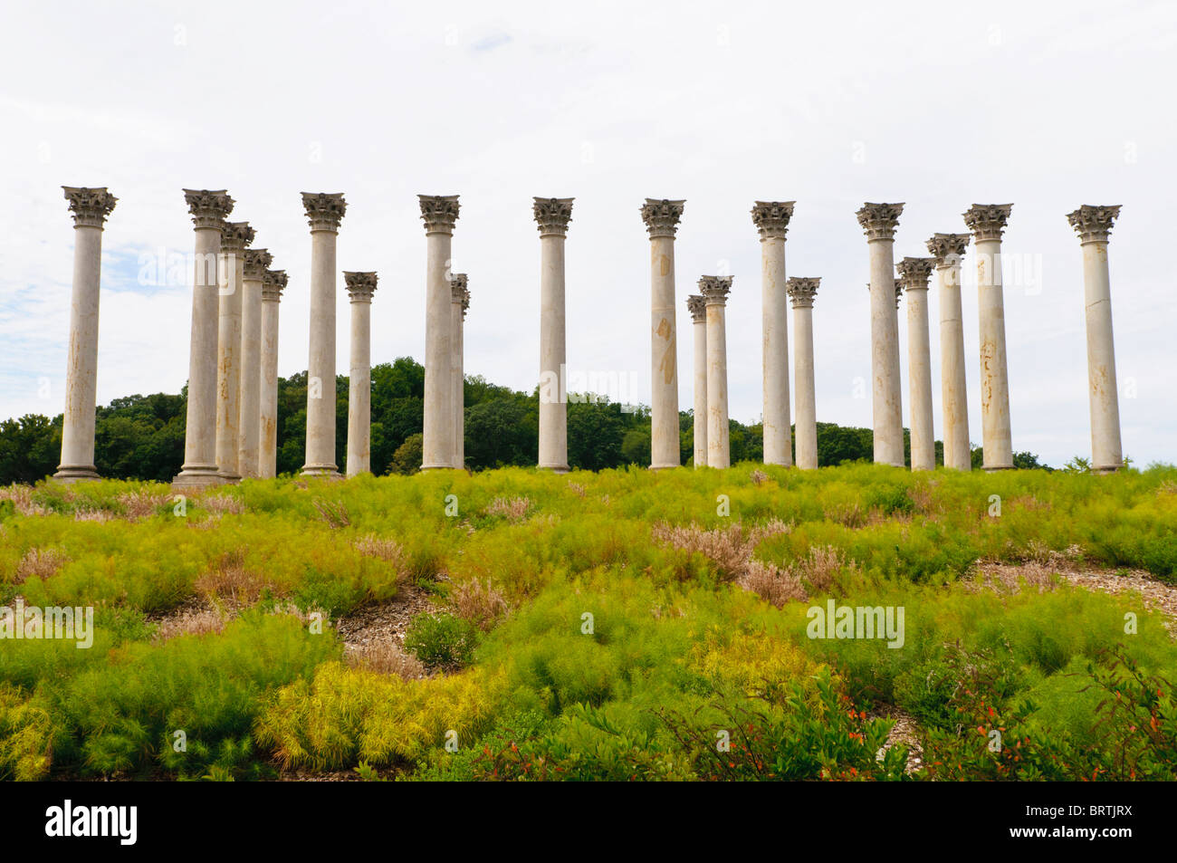 The National Arboretum, Washington DC, USA Stock Photo - Alamy