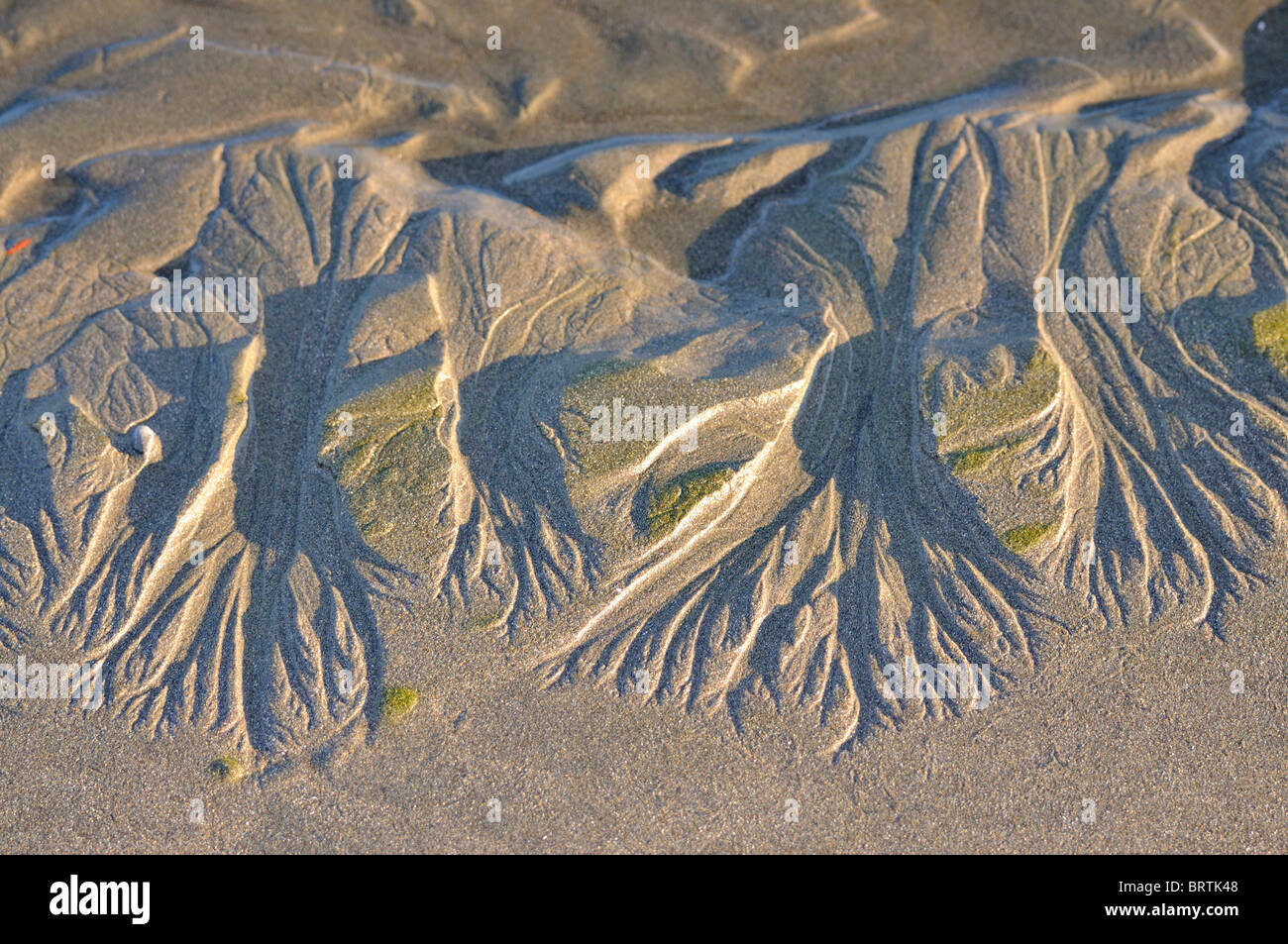 Patterns in the sand of the beach in Crescent City California Stock ...