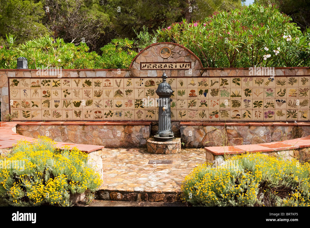 Old tap and flowers hi-res stock photography and images - Alamy