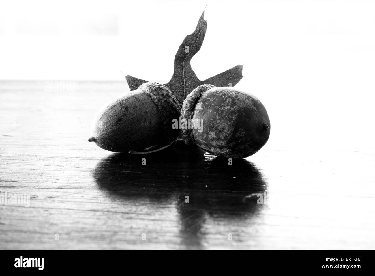 Leaf icon sign symbol Black and White Stock Photos & Images - Alamy