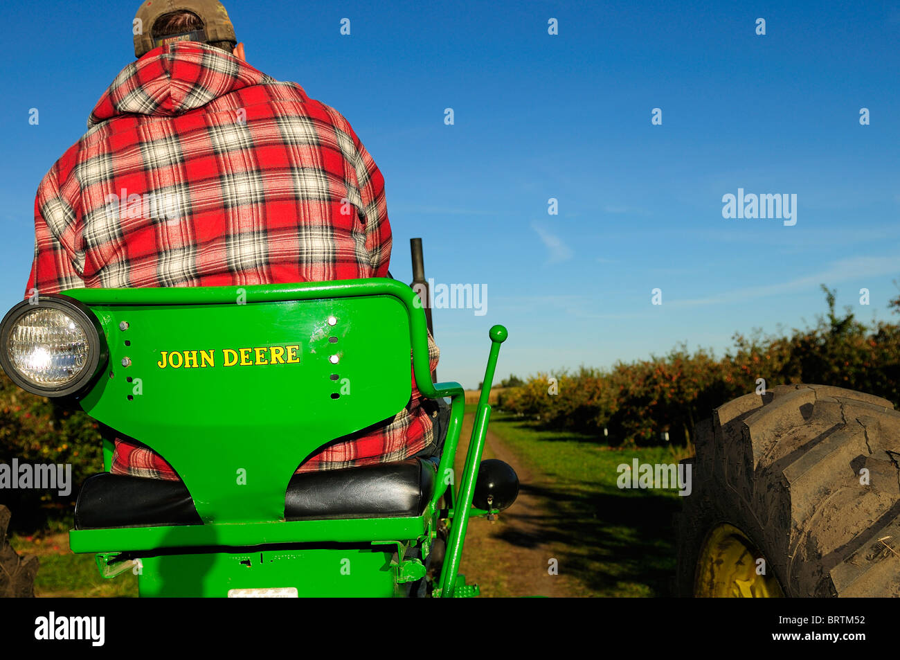 Tractor riding in the orchard Stock Photo - Alamy