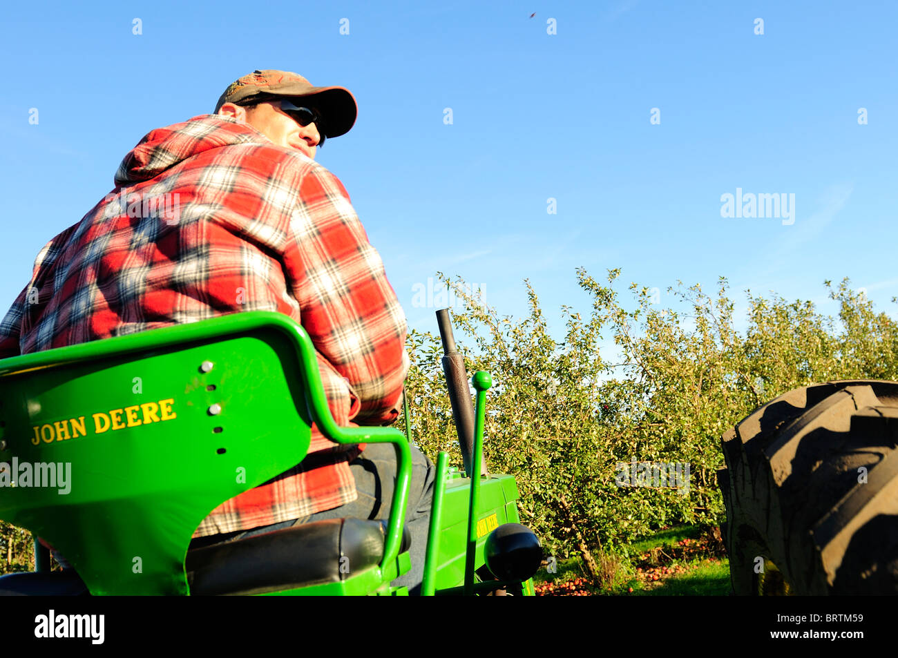 Tractor riding in the orchard Stock Photo - Alamy