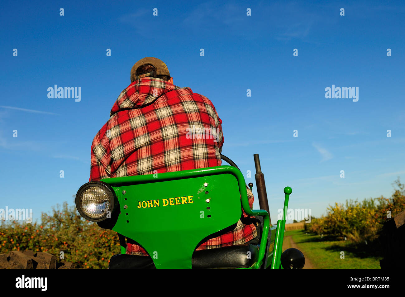 Tractor riding in the orchard Stock Photo - Alamy
