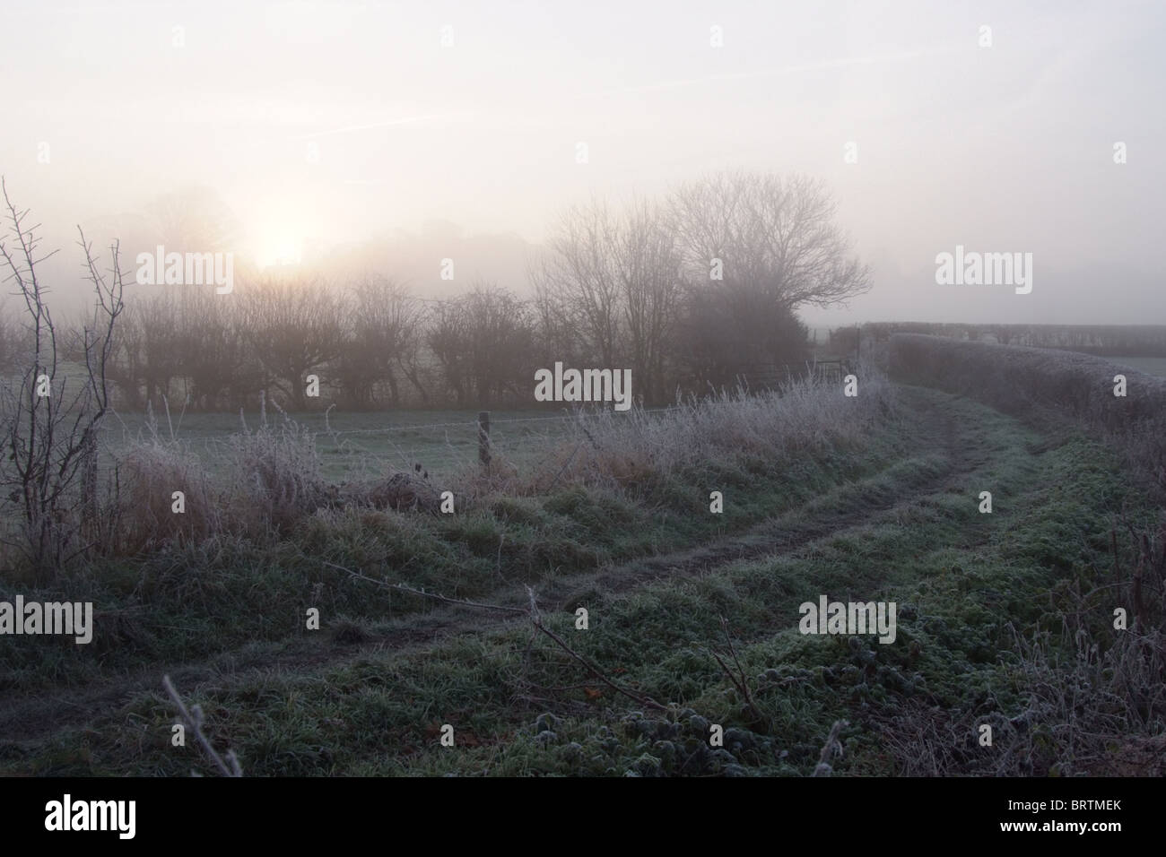 Magical lane hi-res stock photography and images - Alamy