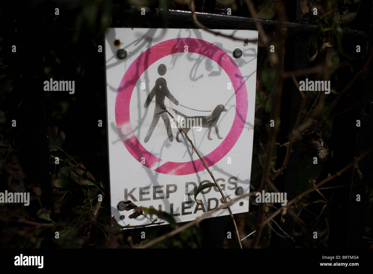 Please Keep Dogs on Lead sign Stock Photo - Alamy