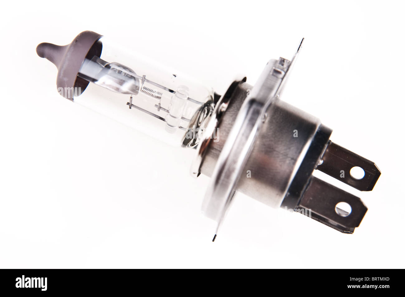 car halogen light bulb Stock Photo - Alamy