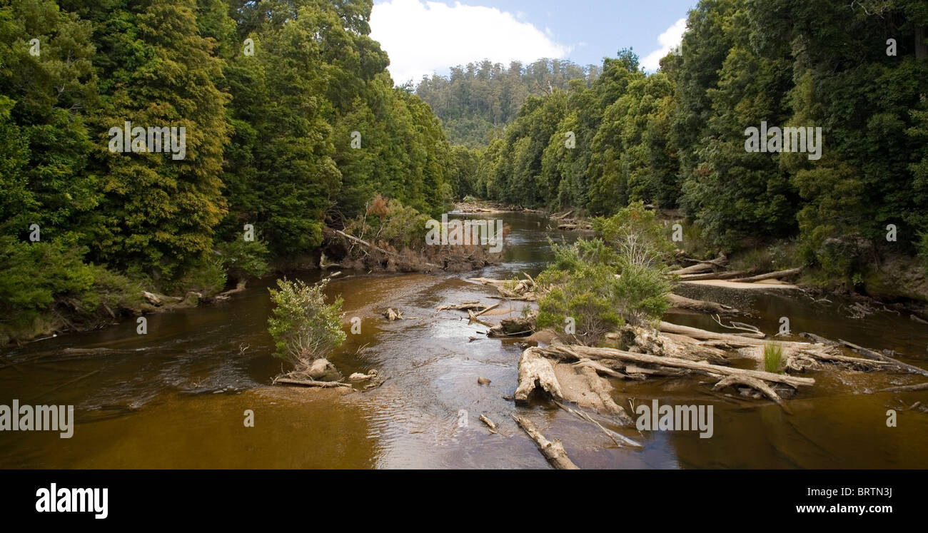 A wide, remote river with lush jungle either side Stock Photo - Alamy