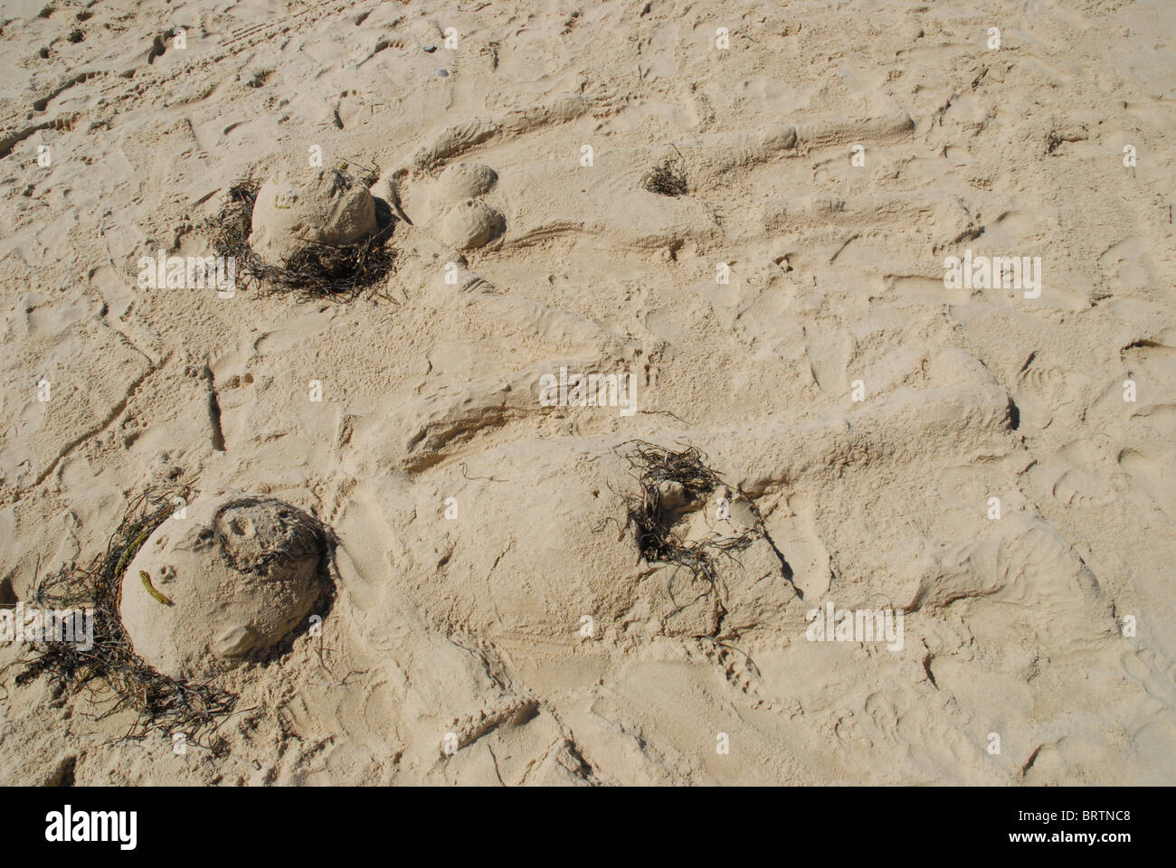 Man and Lady Sand Castle Figures, Main Beach, Surfers Paradise, Gold ...