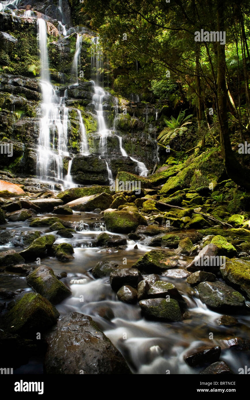 Nelson Falls in the beautiful Franklin - Gordon Wild Rivers National ...