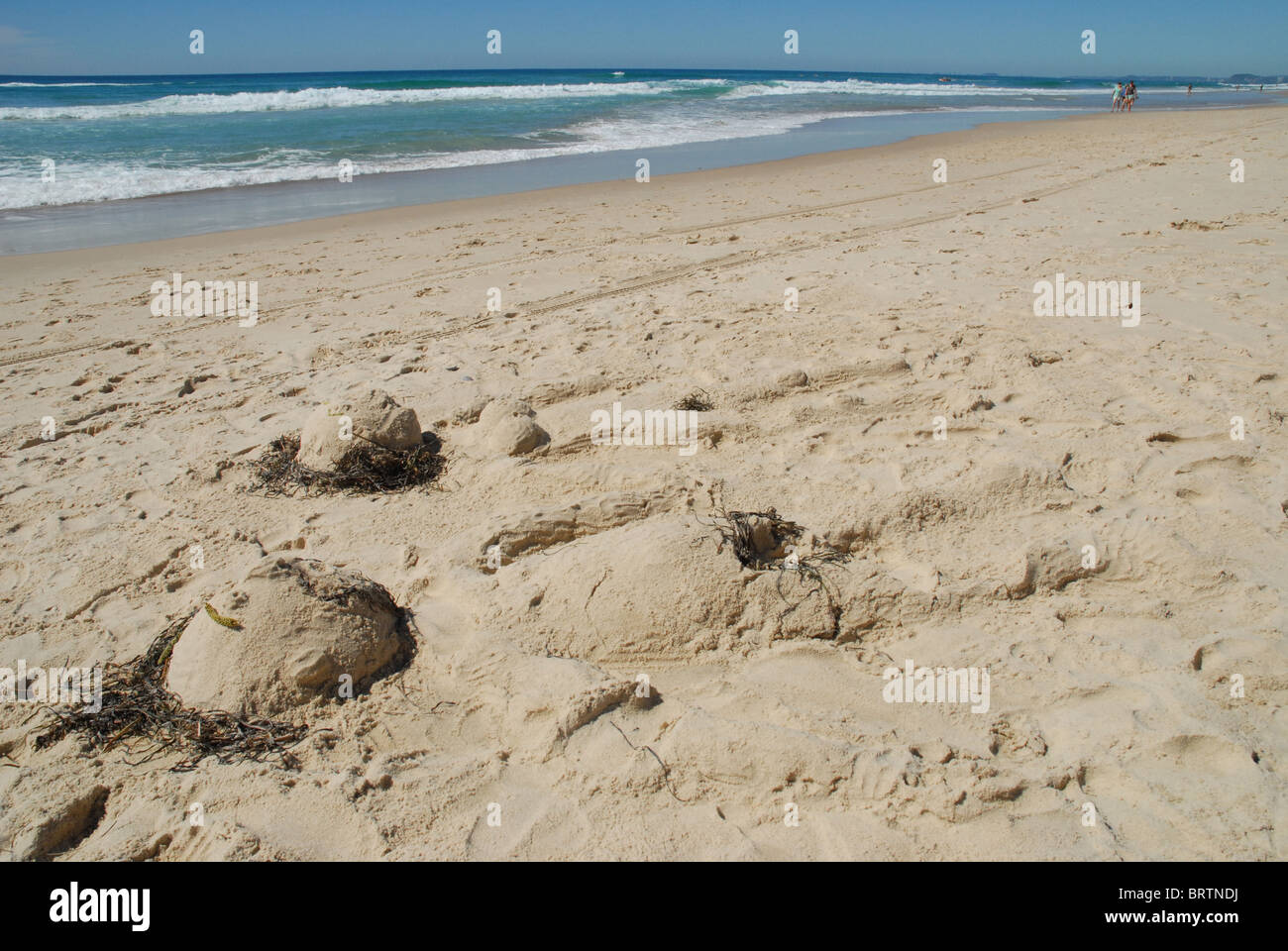 Man and Lady Sand Castle Figures, Main Beach, Surfers Paradise, Gold ...