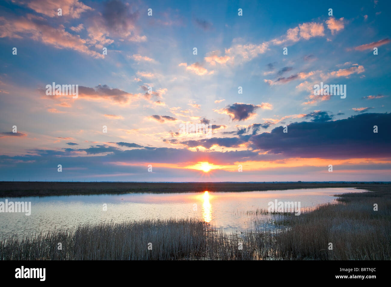 Summer sunset by the lake Stock Photo - Alamy