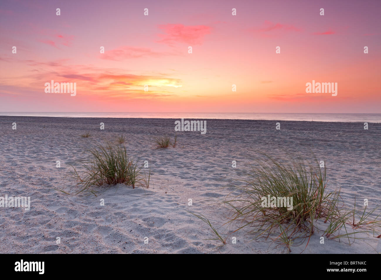 Fernandina beach hi-res stock photography and images - Alamy
