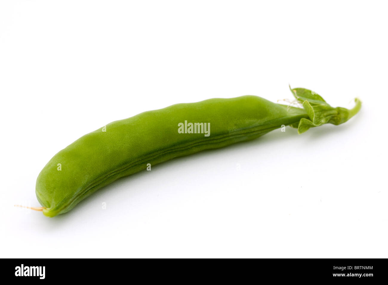 Pea pod plant hi-res stock photography and images - Alamy