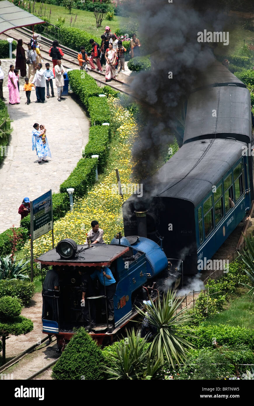himalayan railway, darjeeling, bengal, india Stock Photo - Alamy
