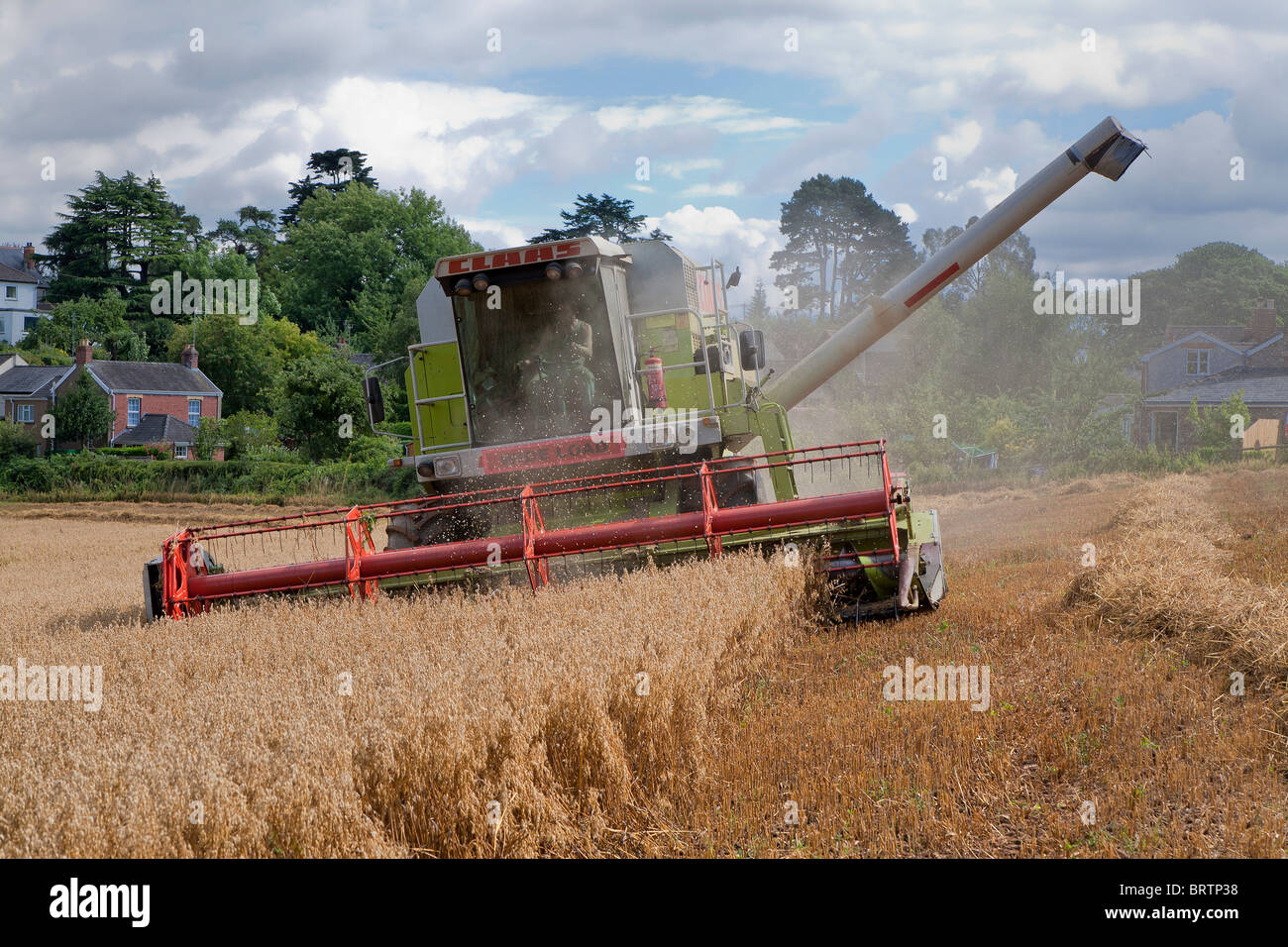Harvest harvesting oats hi-res stock photography and images - Alamy
