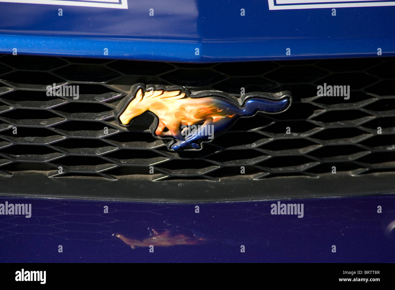 Ford mustang badge hi-res stock photography and images - Alamy