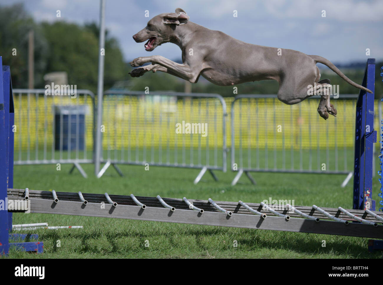 Long jump olympics hi-res stock photography and images - Alamy