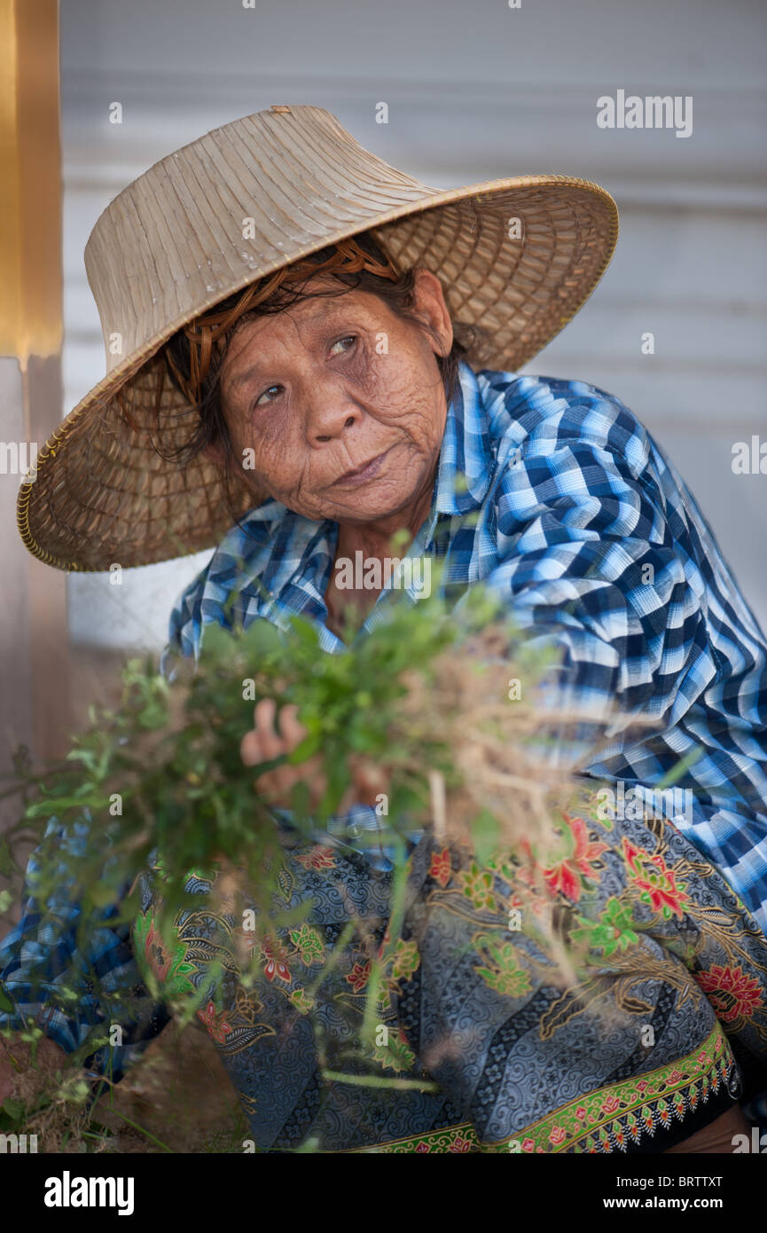 Old lady selling hi-res stock photography and images - Alamy