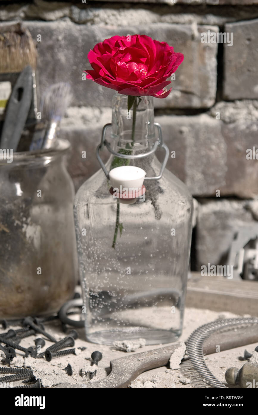 still life with red roses Stock Photo - Alamy