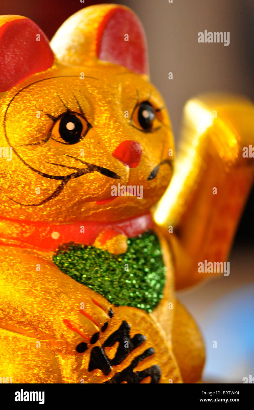 Chinese Lucky Cat Left Hand at Jayne Griffin blog