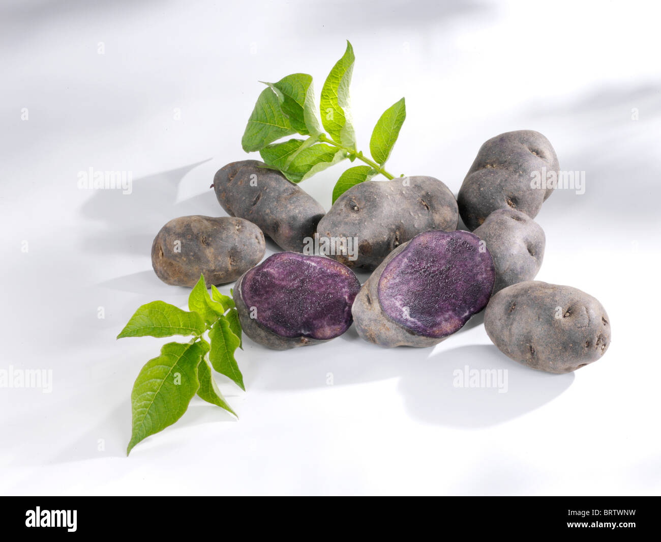 Truffle potatoe hi-res stock photography and images - Alamy