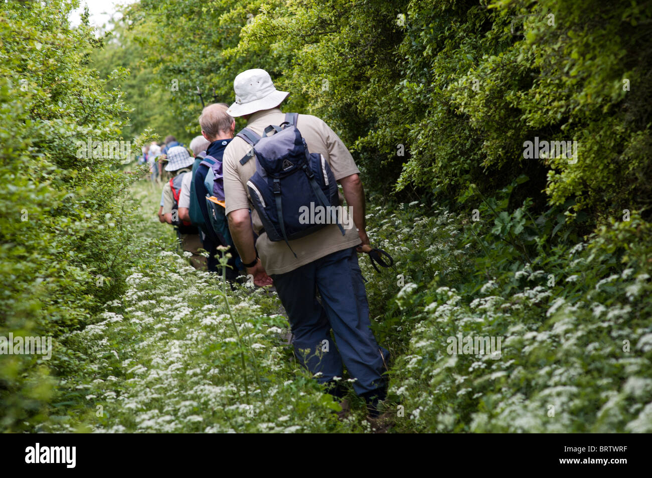 Ramblers association hi-res stock photography and images - Alamy