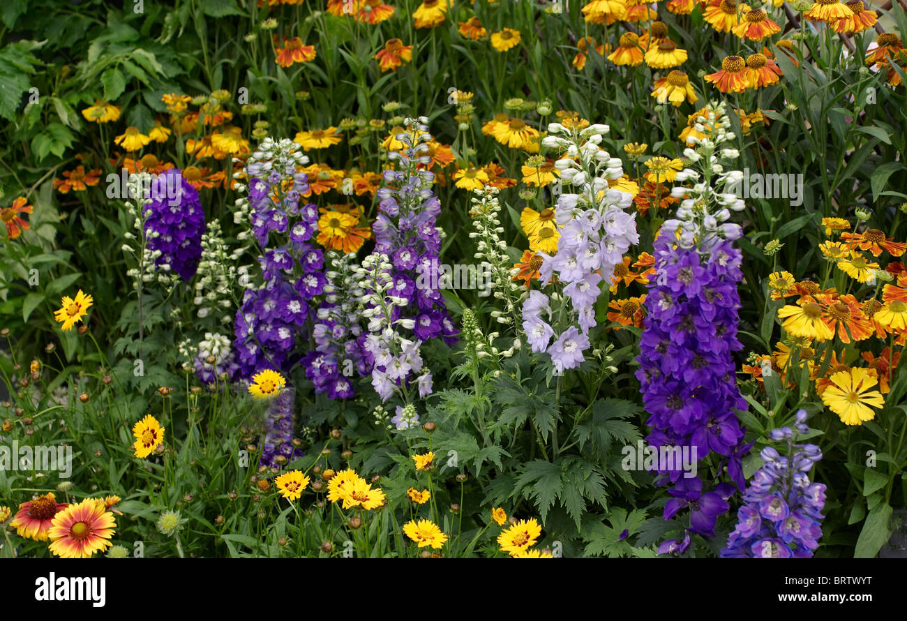 Colourful flower border in an English country garden Stock Photo - Alamy