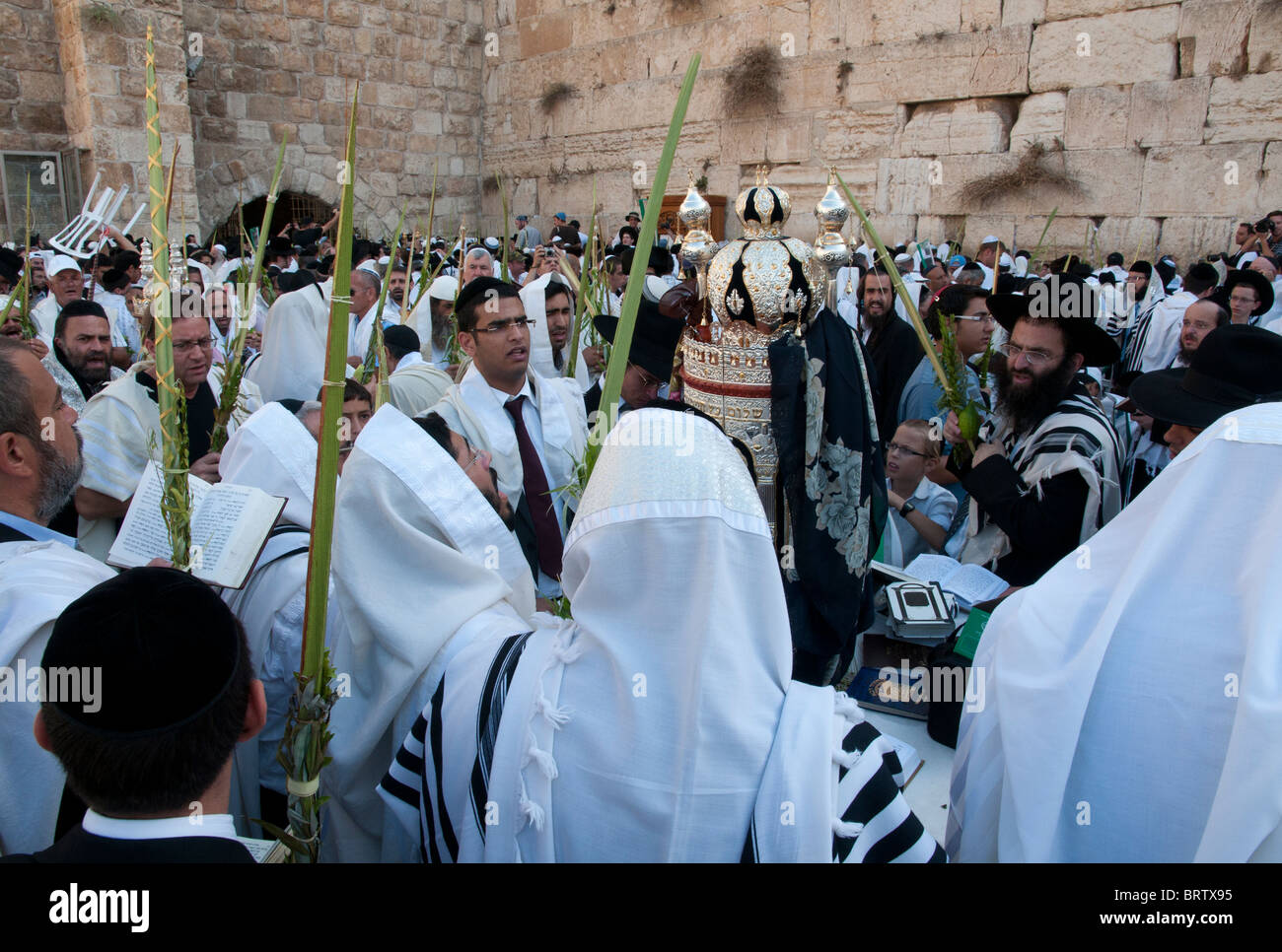 jews in prayer shawl praying with Torah Scroll at western wall ...