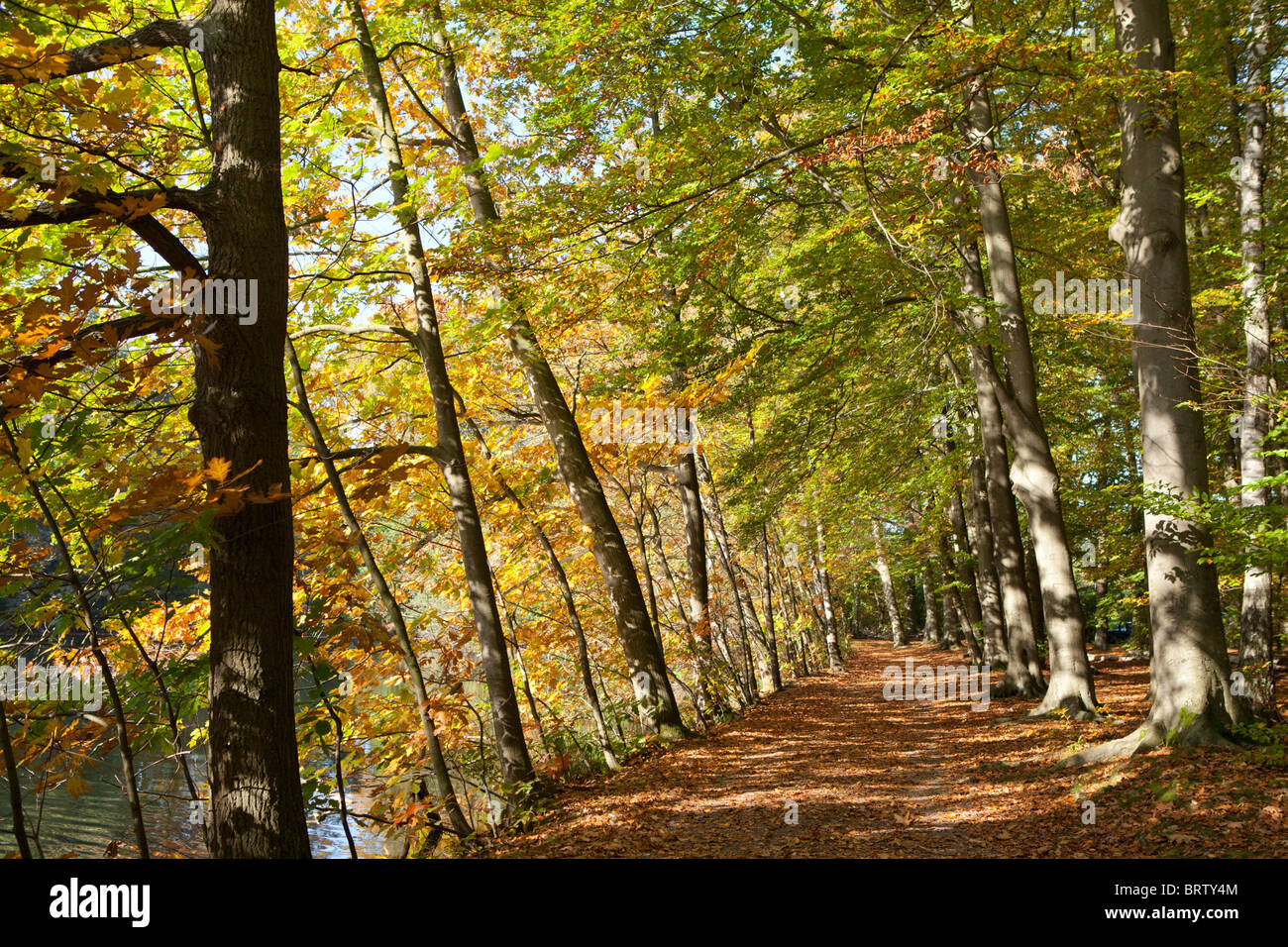 Sk15 255 hi-res stock photography and images - Alamy