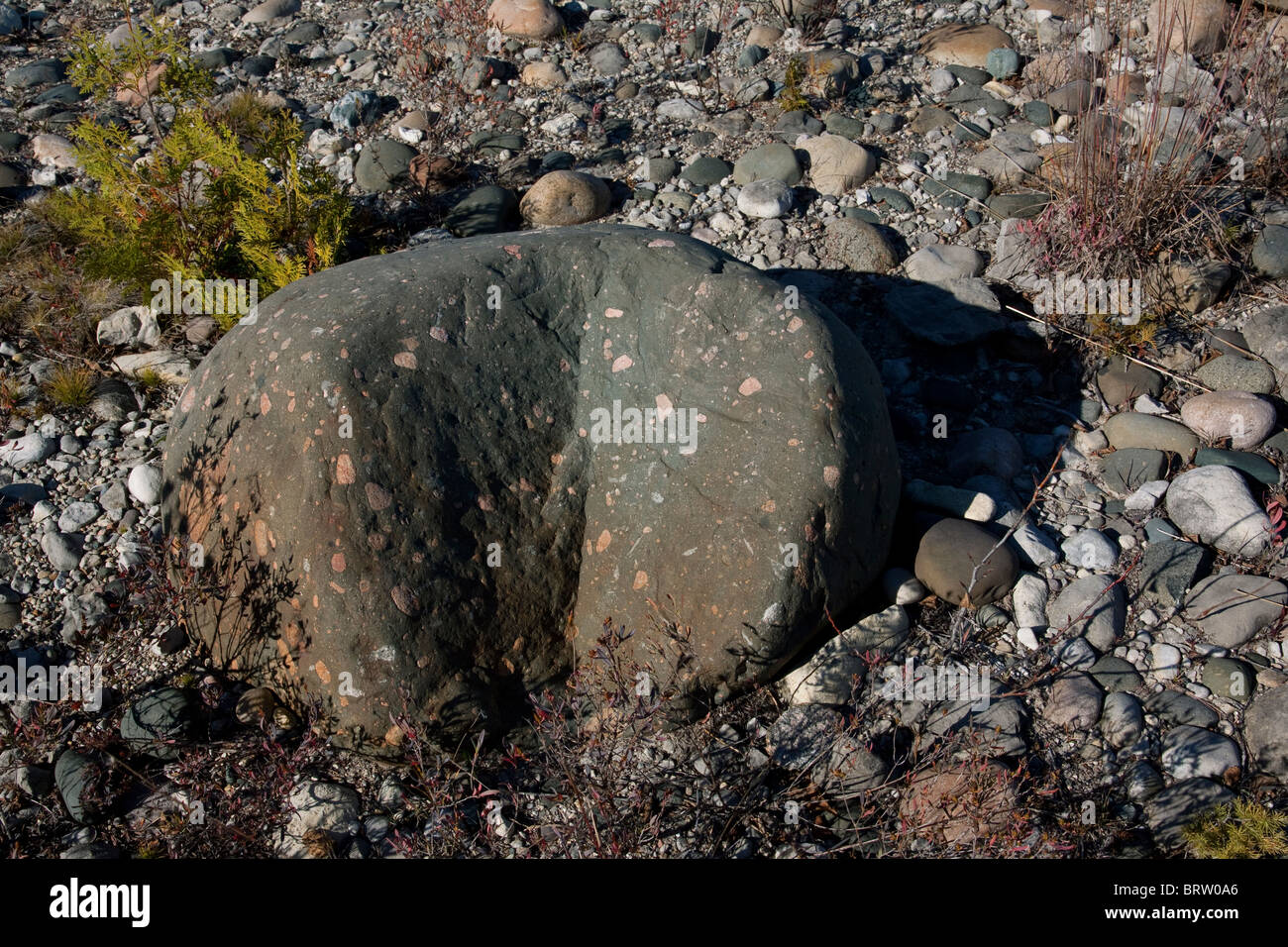 Puddingstone along shore of Lake Huron Michigan USA Stock Photo - Alamy