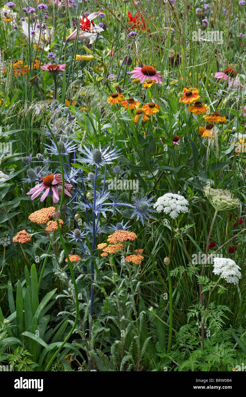 Cultivated gardens hi-res stock photography and images - Alamy