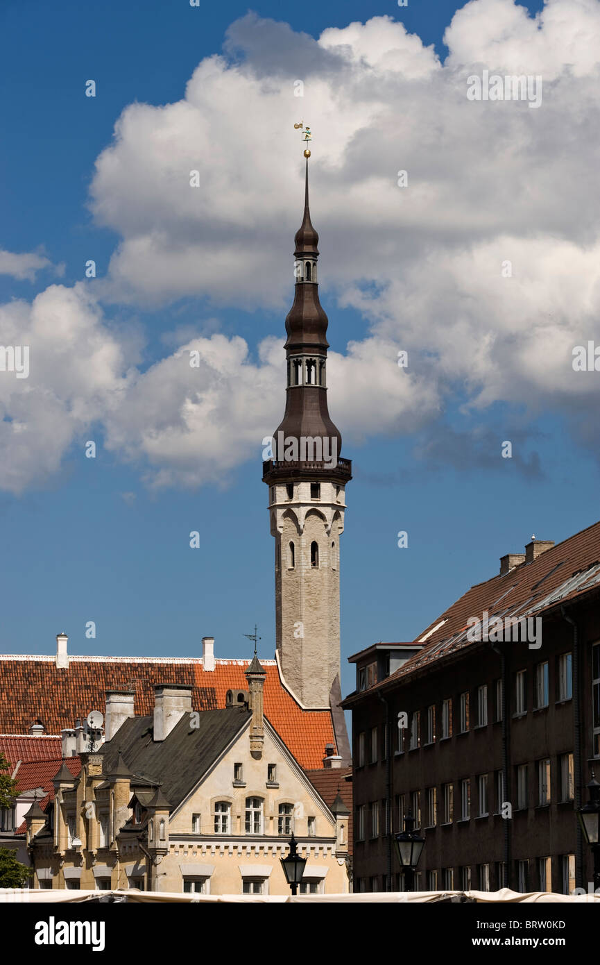 Town hall tower, Tallinn, Estonia, Baltic States Stock Photo - Alamy