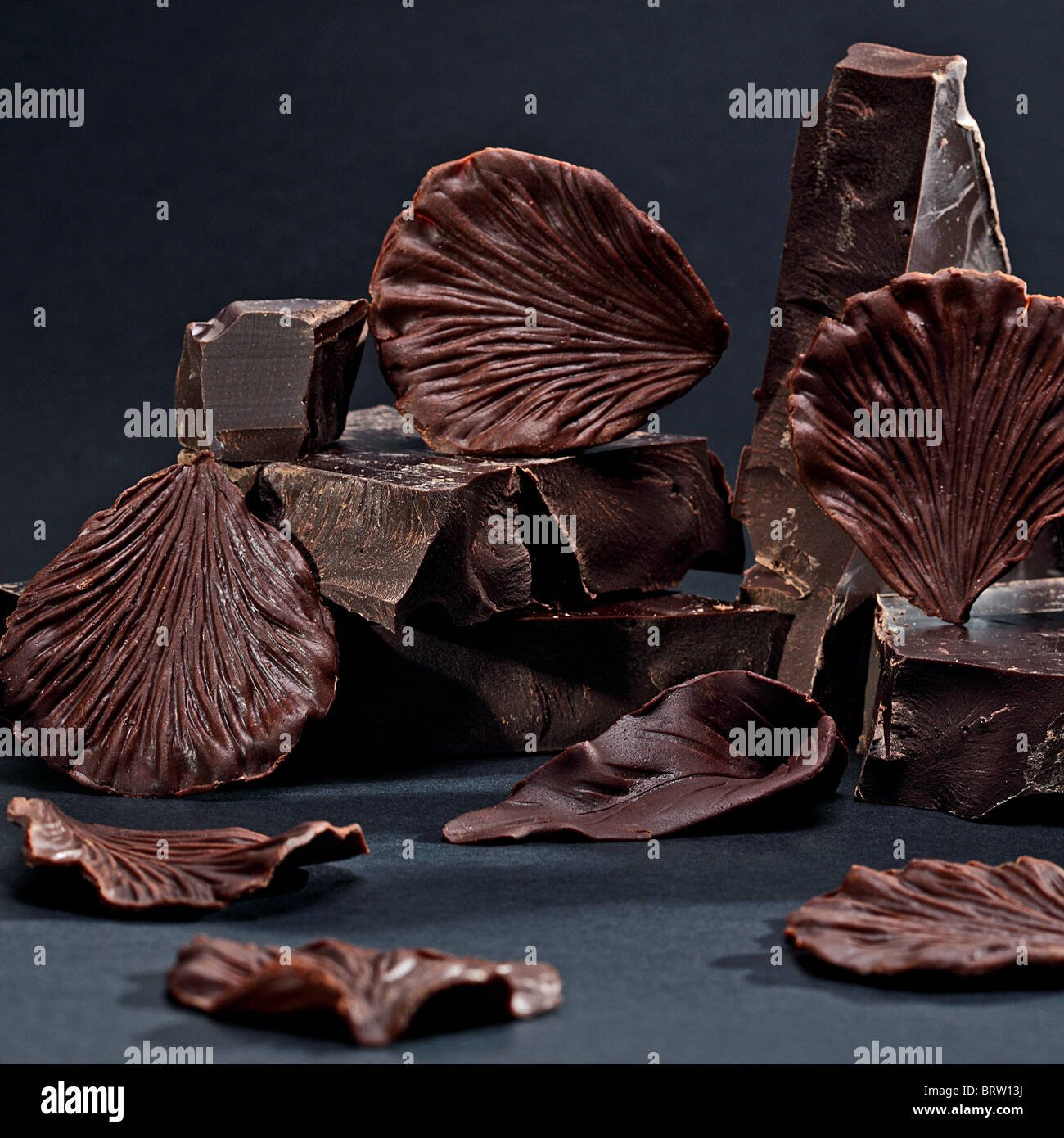Dark chocolate digestive isolated hi-res stock photography and images ...