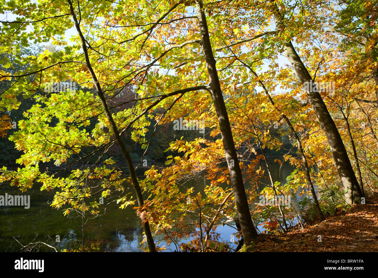 Sk15 266 hi-res stock photography and images - Alamy